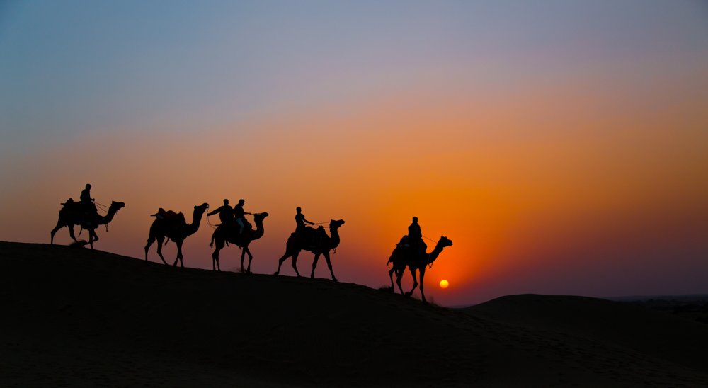 In Rajasthan, on a photography tour... - Darter Photography